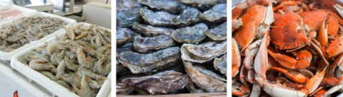 Tips | Columbia Street seafood